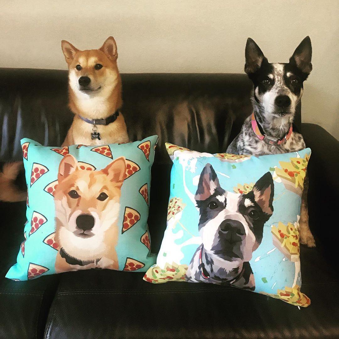 Custom Pet Couch Pillow with Cover – Alpha Paw