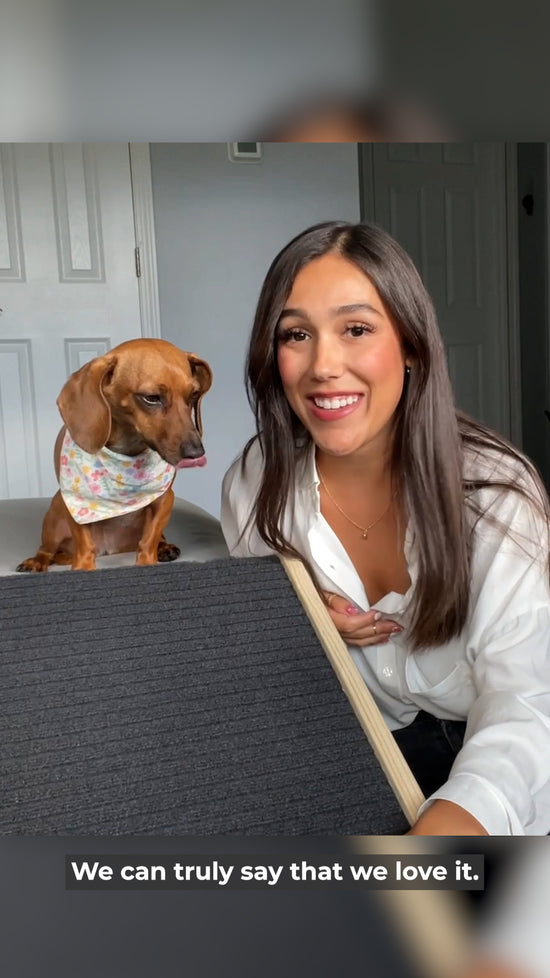 Vet Recommended Pet Supplies at Low Prices | Alpha Paw