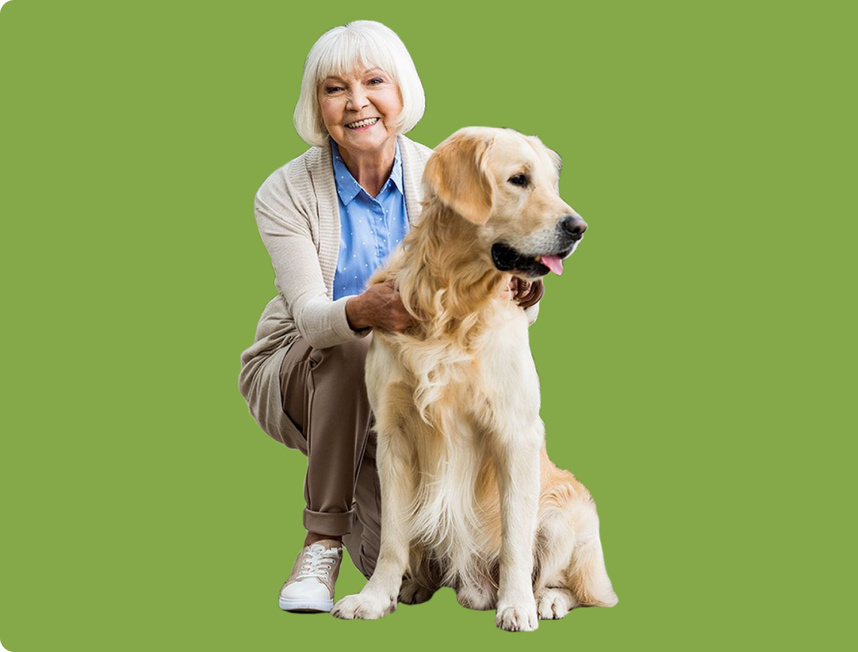 About Us – Alpha Paw