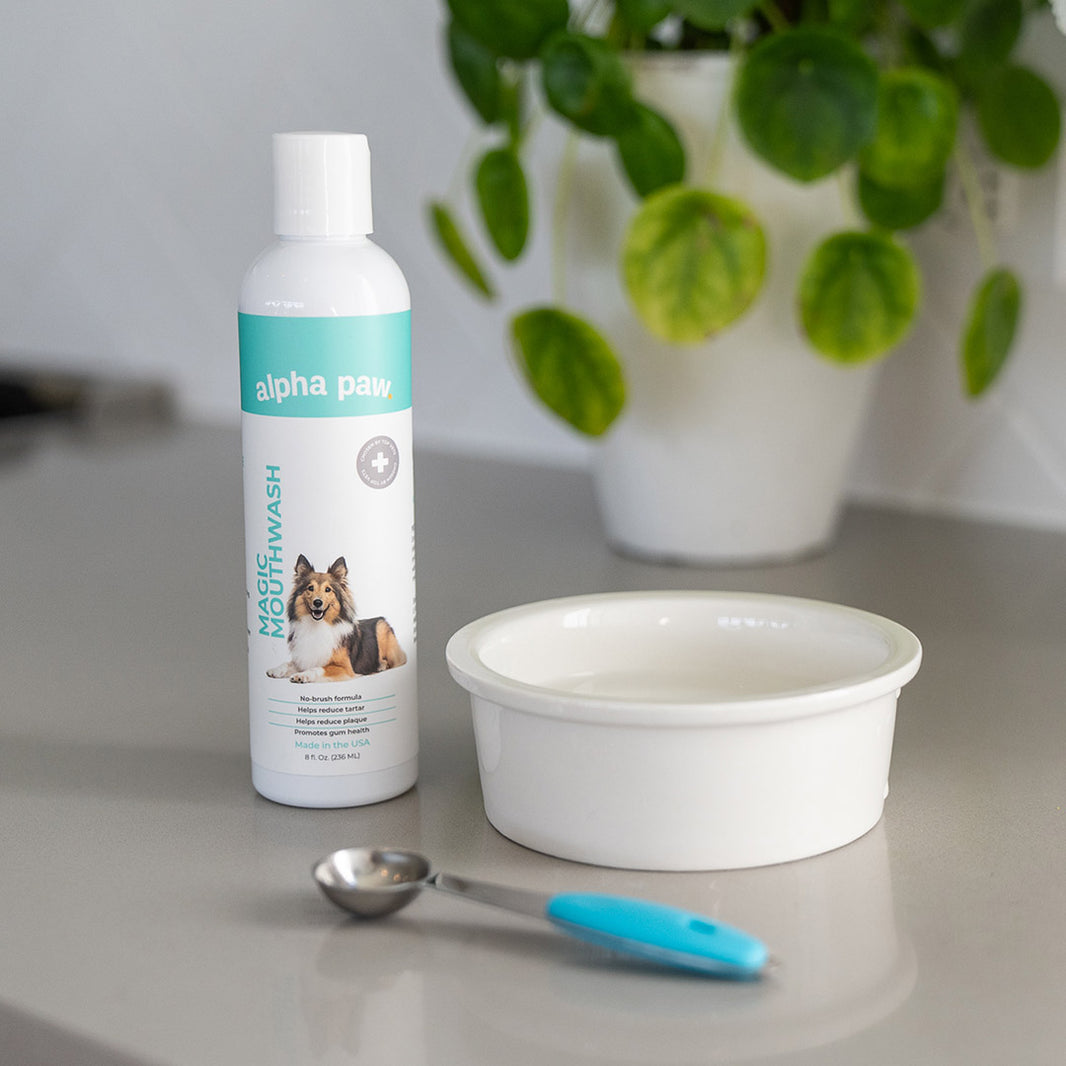 Vet Recommended Pet Supplies at Low Prices | Alpha Paw