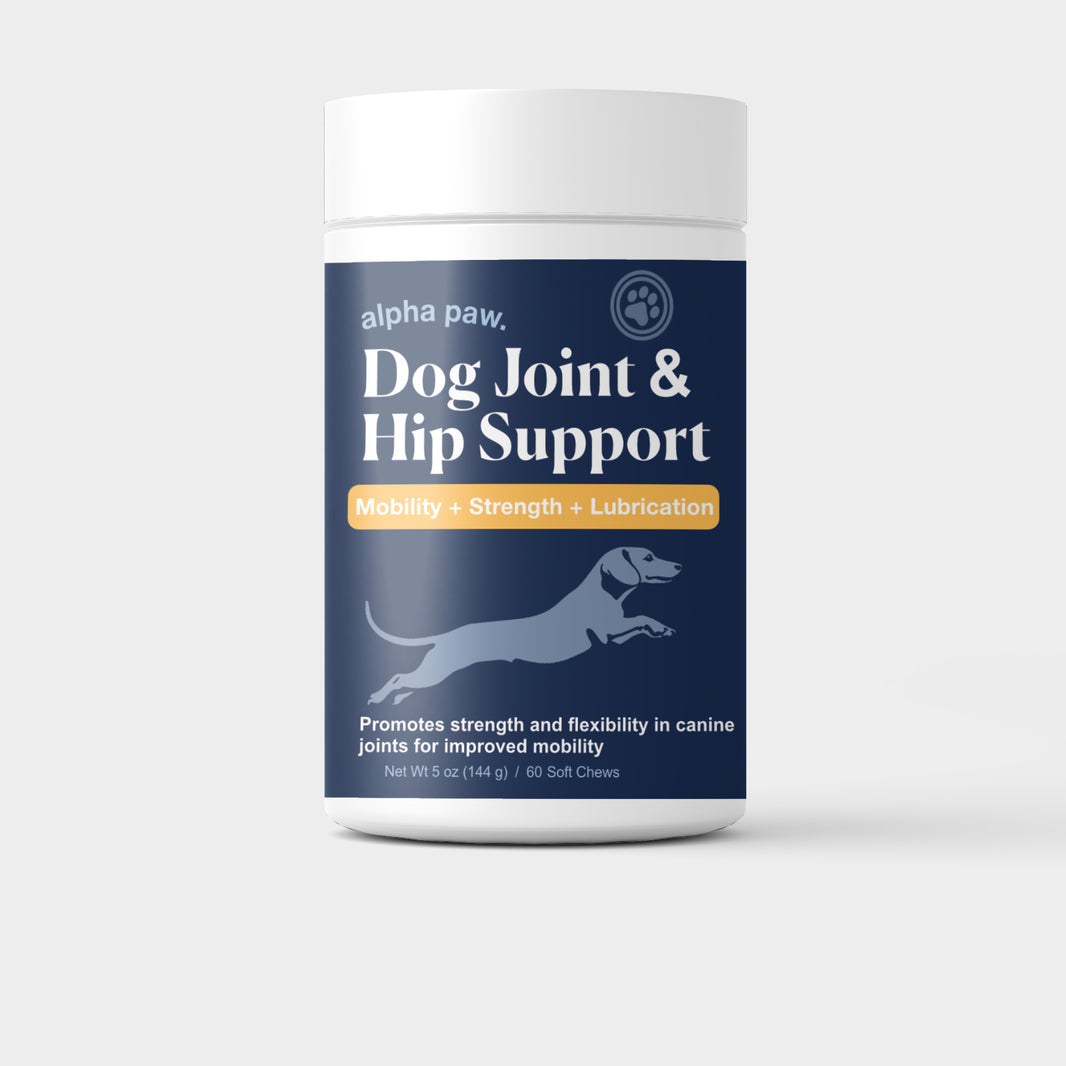 Vet Recommended Pet Supplies at Low Prices | Alpha Paw