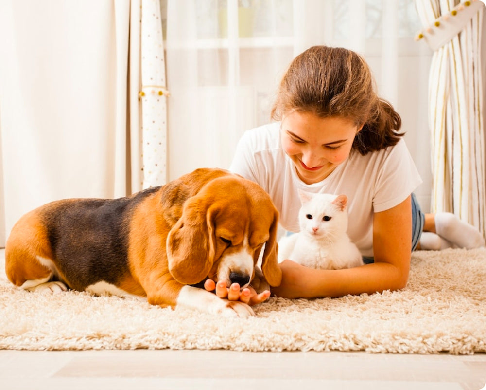 Vet Recommended Pet Supplies at Low Prices | Alpha Paw