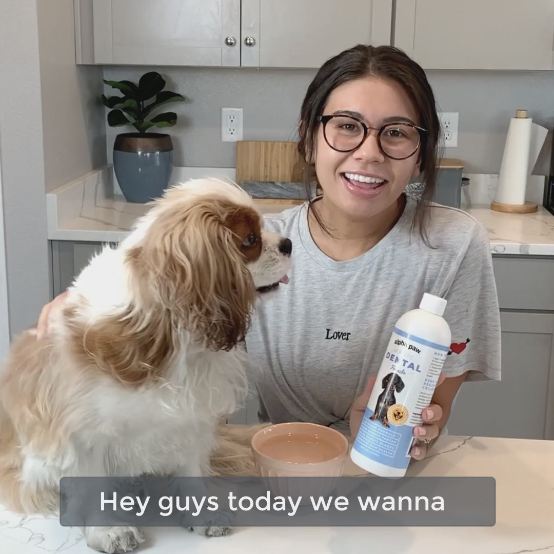 Mouthwash For Dogs | Magic Mouthwash™ by Alpha Paw