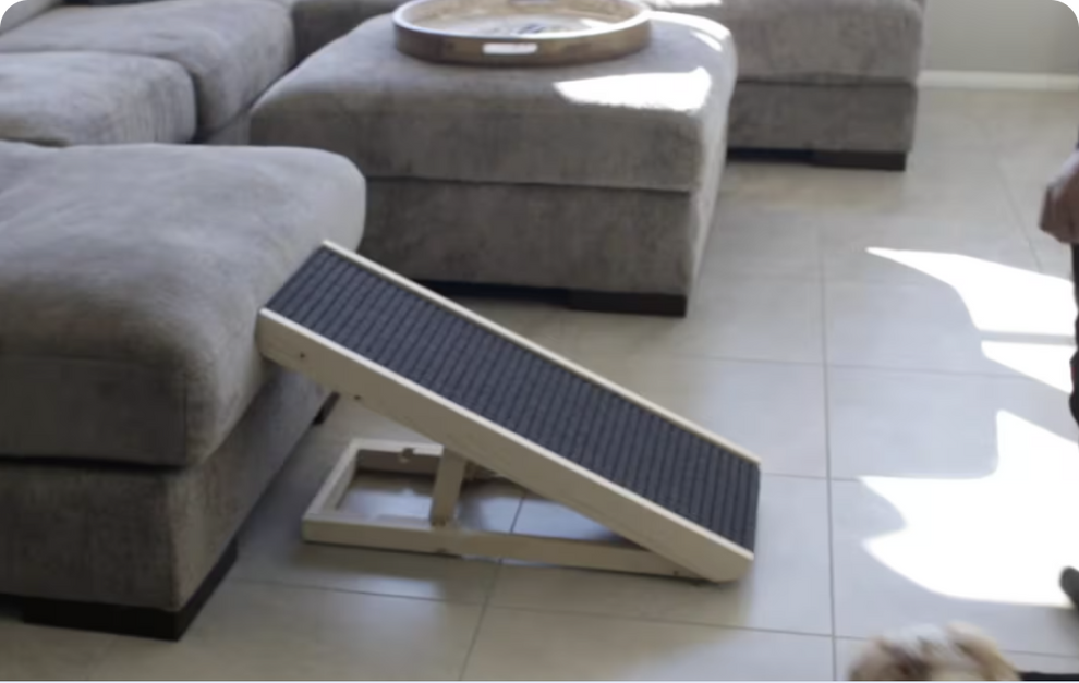 How to Train your Dog to use a Dog Ramp – Alpha Paw