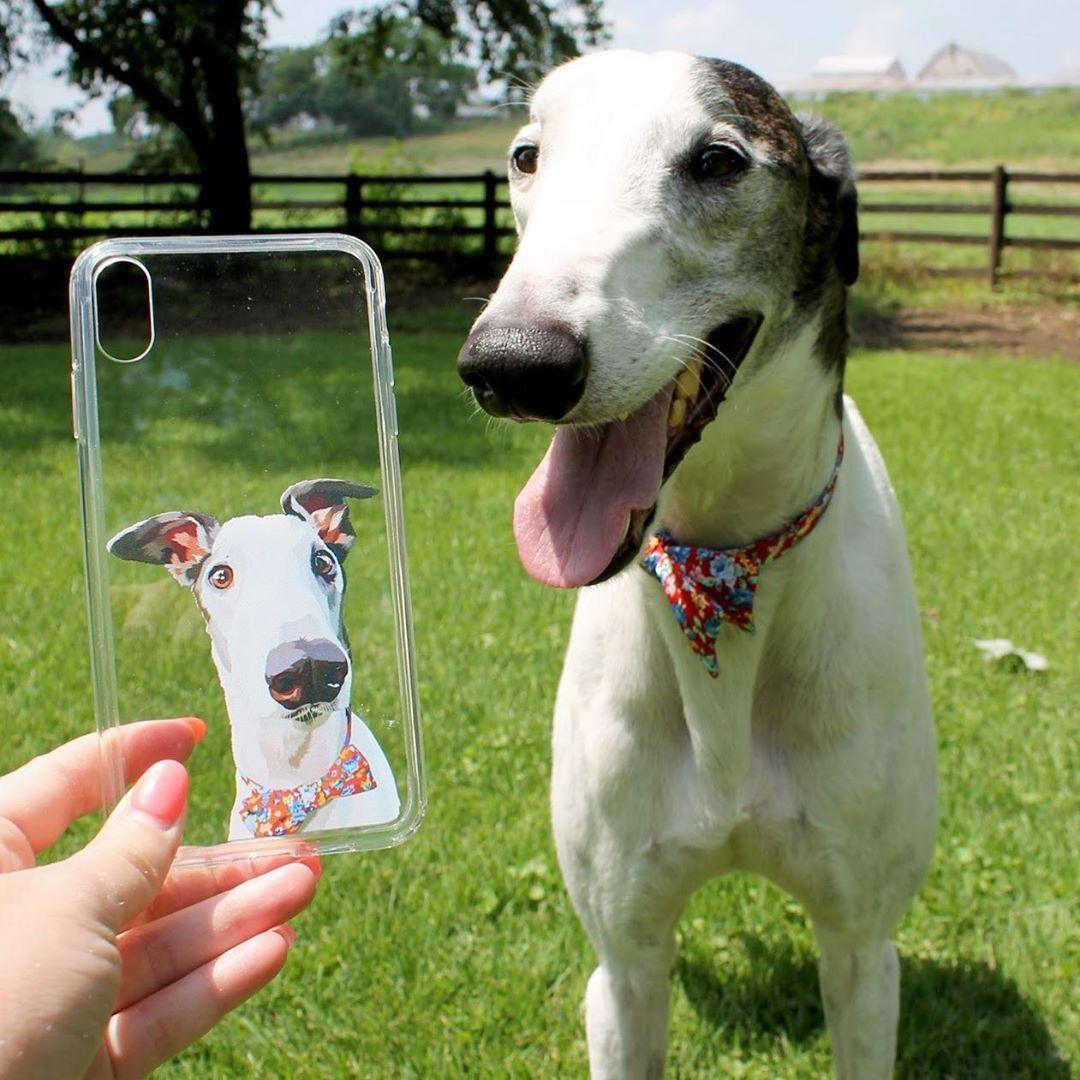 Custom Pet Phone Case (Original) – Alpha Paw