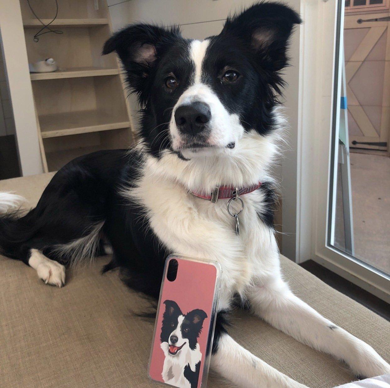 Custom Pet Phone Case (Original) – Alpha Paw