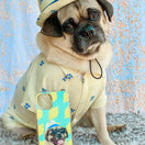 Custom Pet Snap Case | PetCanva – Alpha Paw
