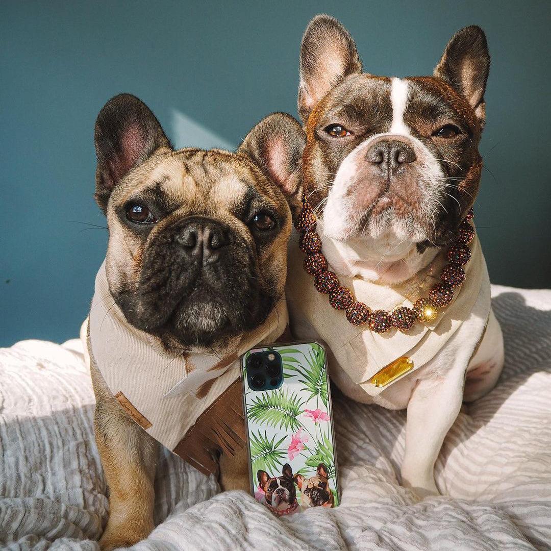 Custom Pet Snap Case | PetCanva – Alpha Paw