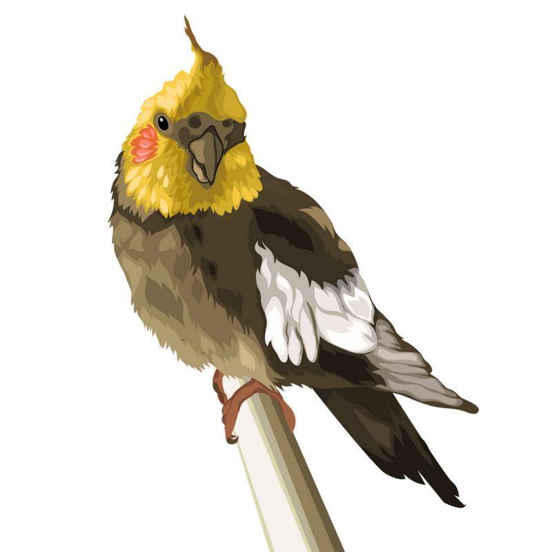 Personalized Pet Art (Digital) – Alpha Paw