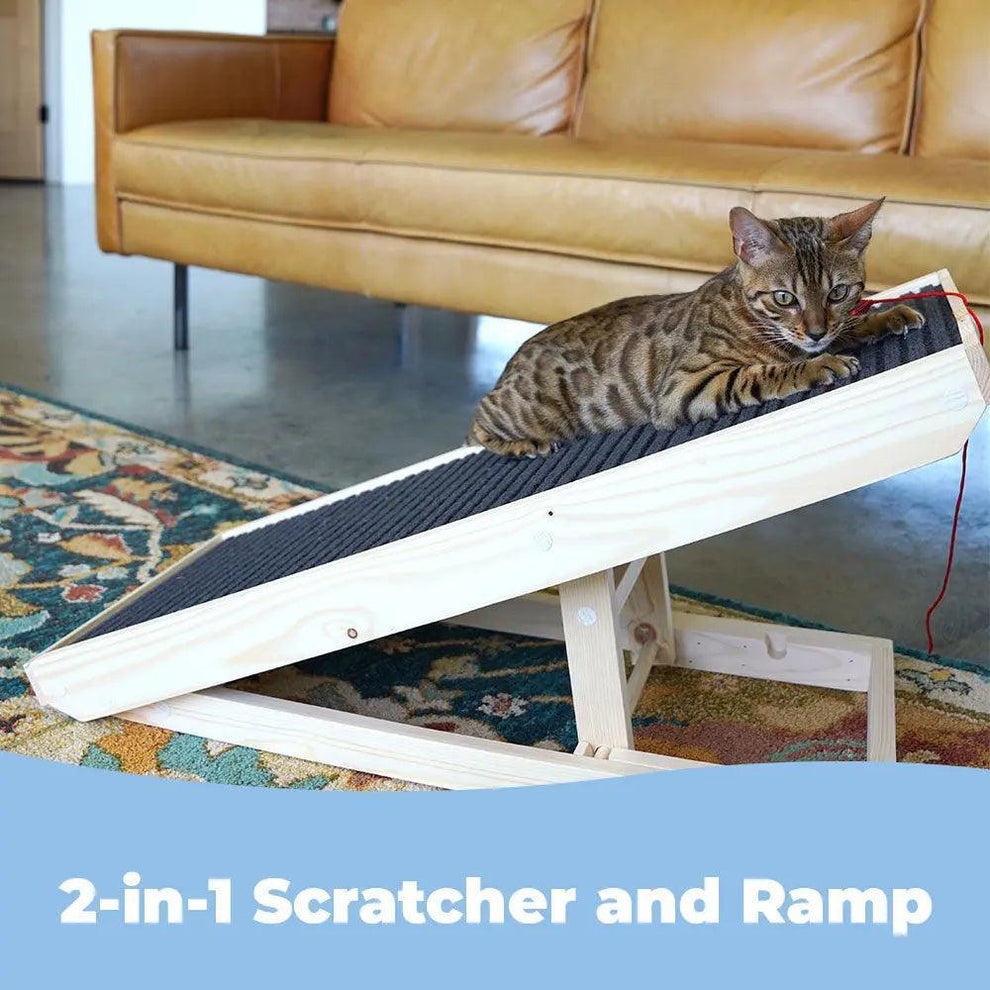 Bed & Couch Ramps for Cats | ScratchyRamp™ by Alpha Paw