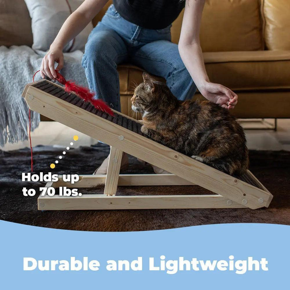 Bed & Couch Ramps for Cats | ScratchyRamp™ by Alpha Paw