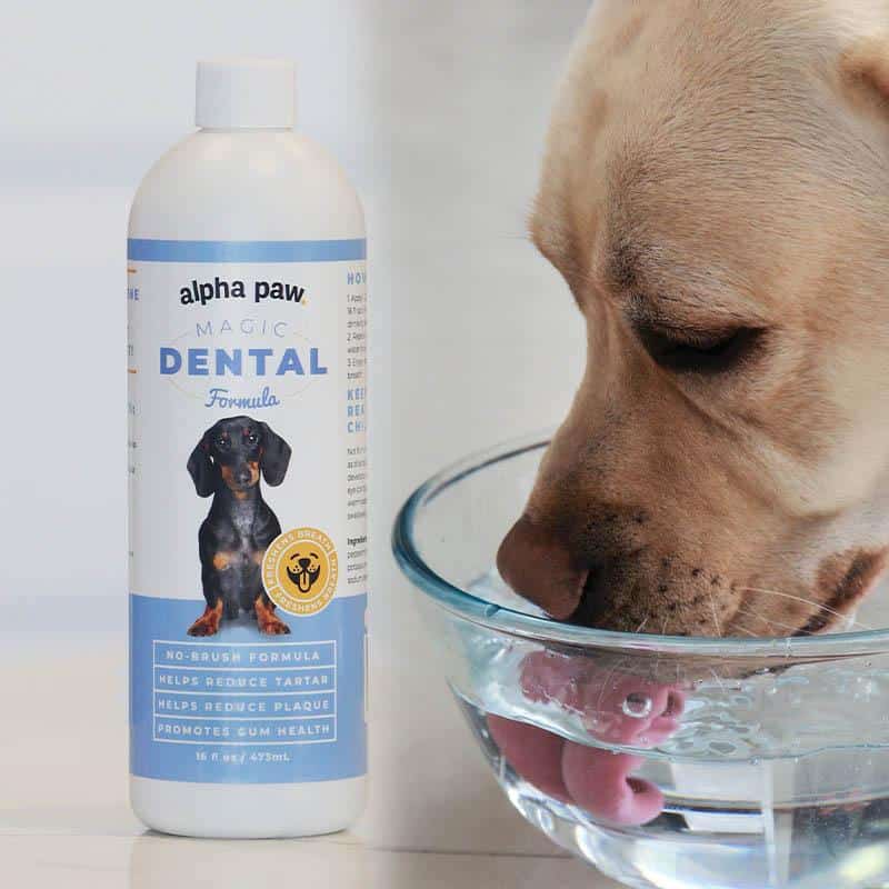 Is There Mouthwash For Dogs
